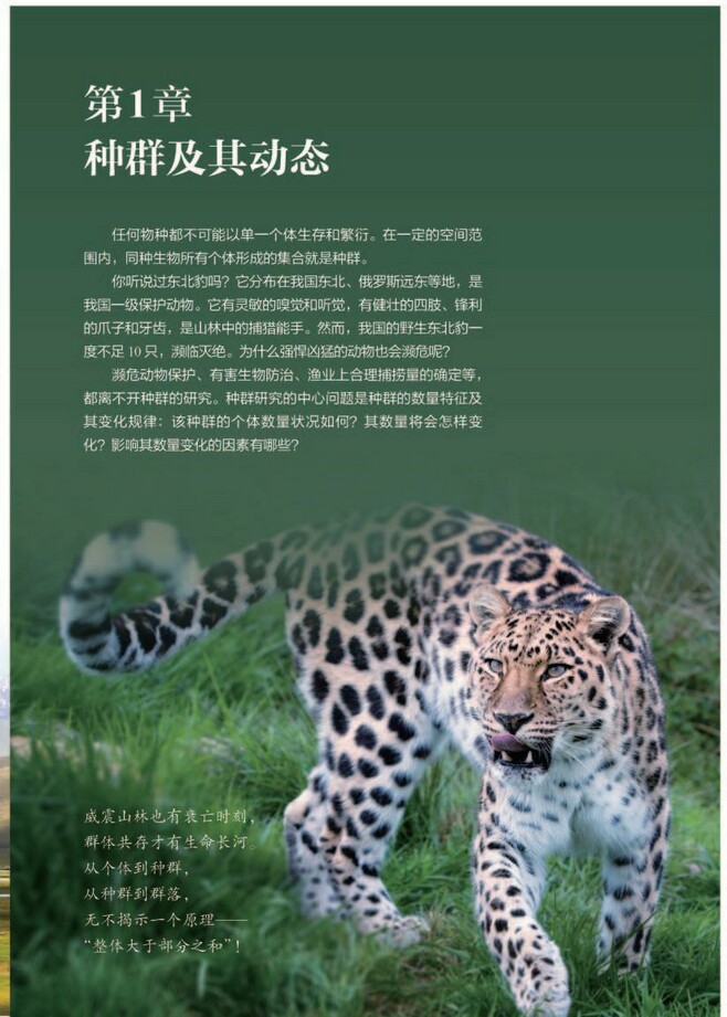 第1章 种群及其动态2019年审定人教版高中生物选修2中学课本网