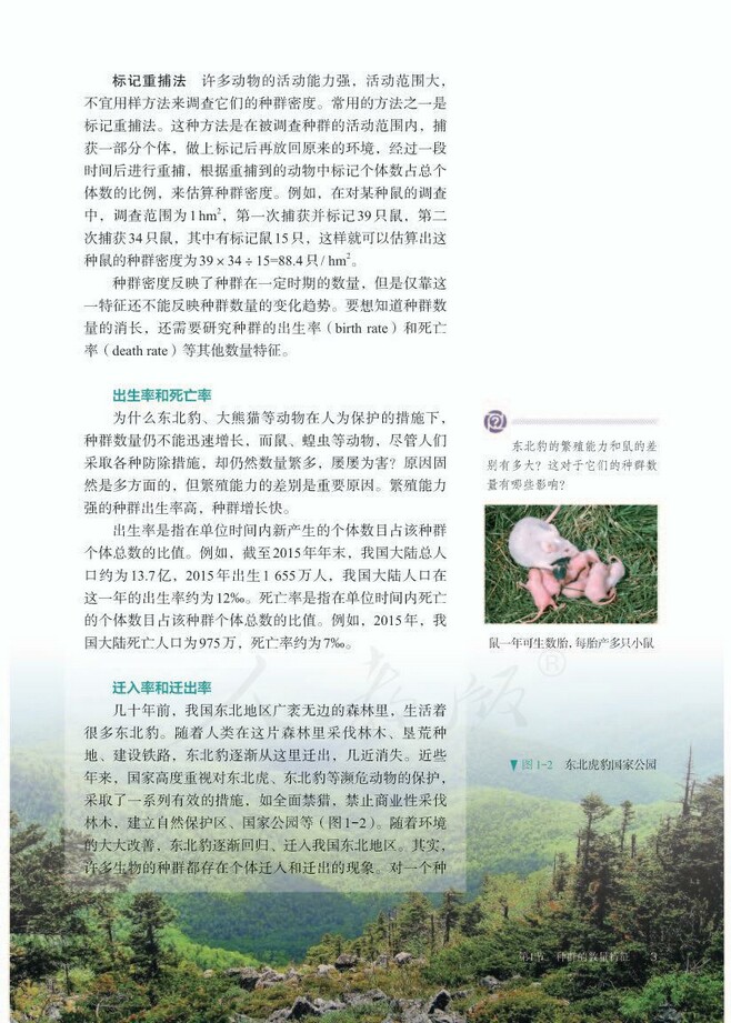 第1节 种群的数量特征2019年审定人教版高中生物选修2中学课本网