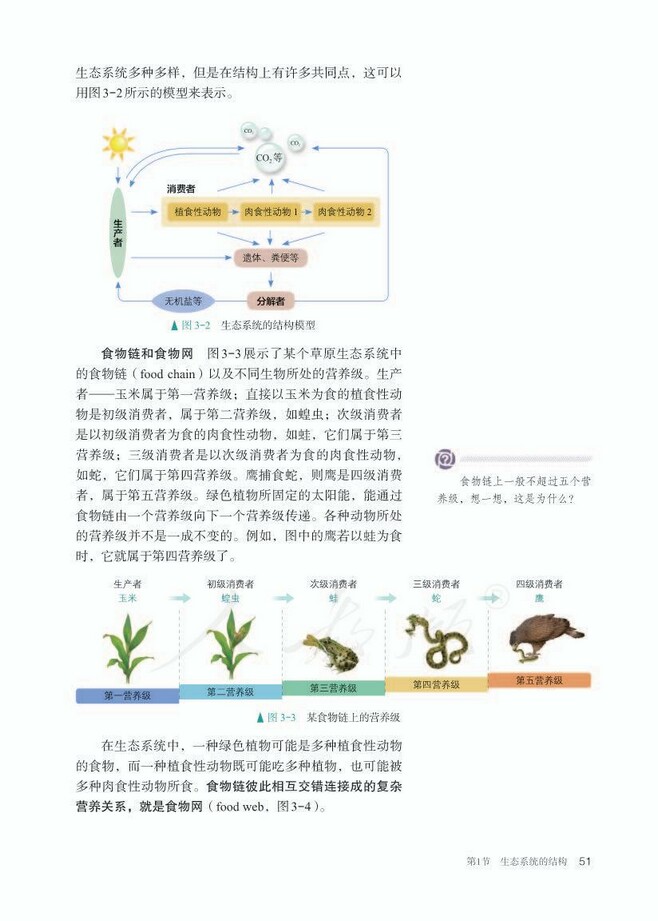 第1节 生态系统的结构2019年审定人教版高中生物选修2中学课本网