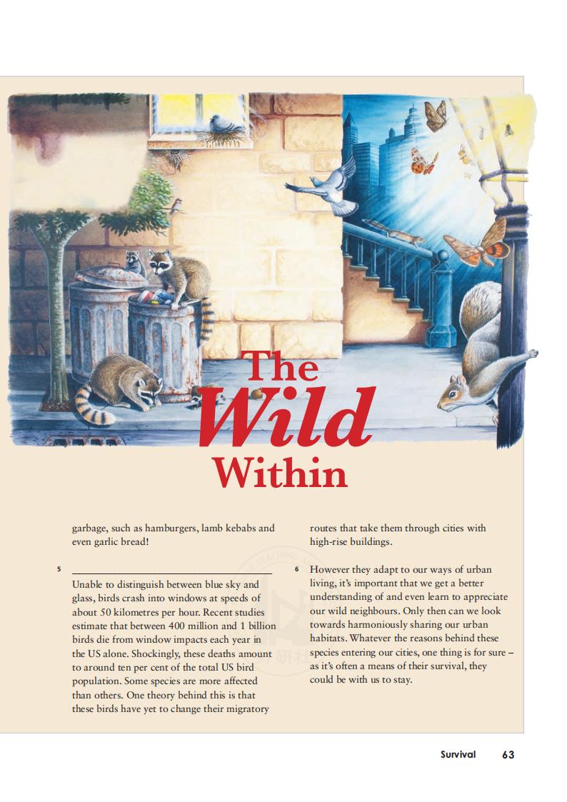 6.Survival|2019年审定外研社版高中英语选修第二册（高清）_高中课本-中学课本网